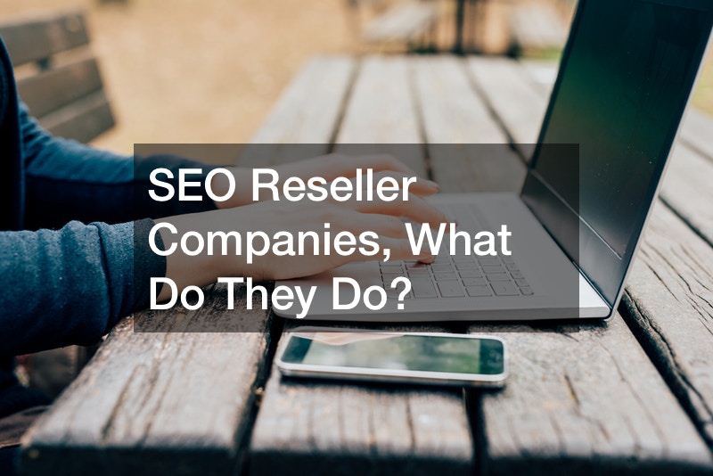 SEO Reseller Companies, What Do They Do? - Reseller Book